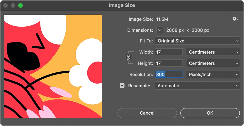 Create Campaign | Everpress